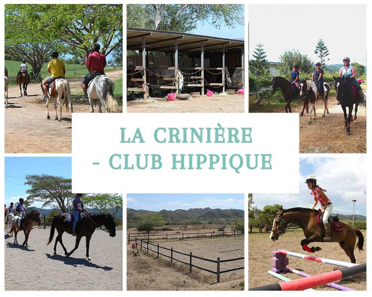 La Crinière, club hippique à Koumac, Activité, Koumac, Station verte